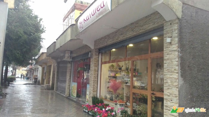 Katalea Flowers - Gjirafa.biz